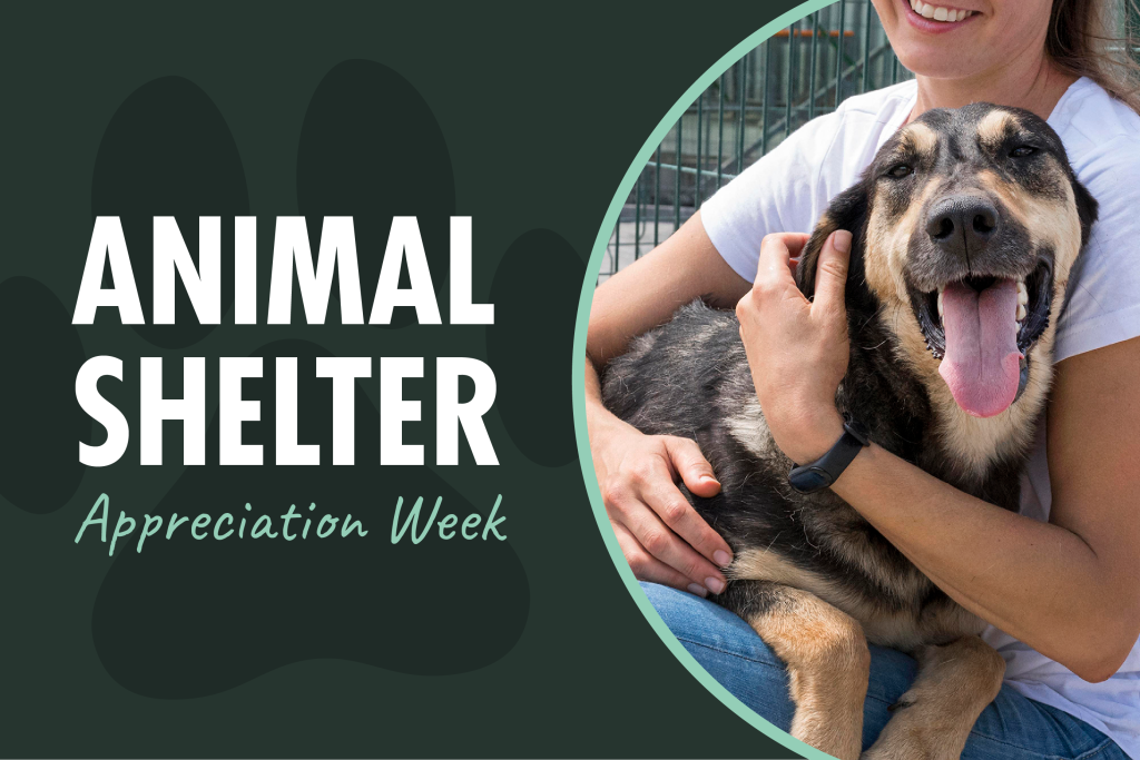 Animal Shelter Appreciation Week - Mike Coffey